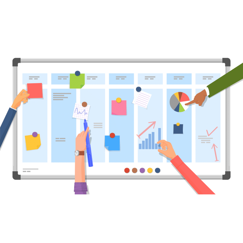 Program Mobilisation & Delivery - Ensighted